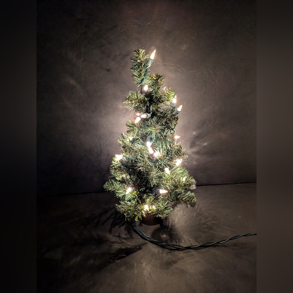 Holiday | Christmas Tree Miniature Green Holiday Tree With Lights ...